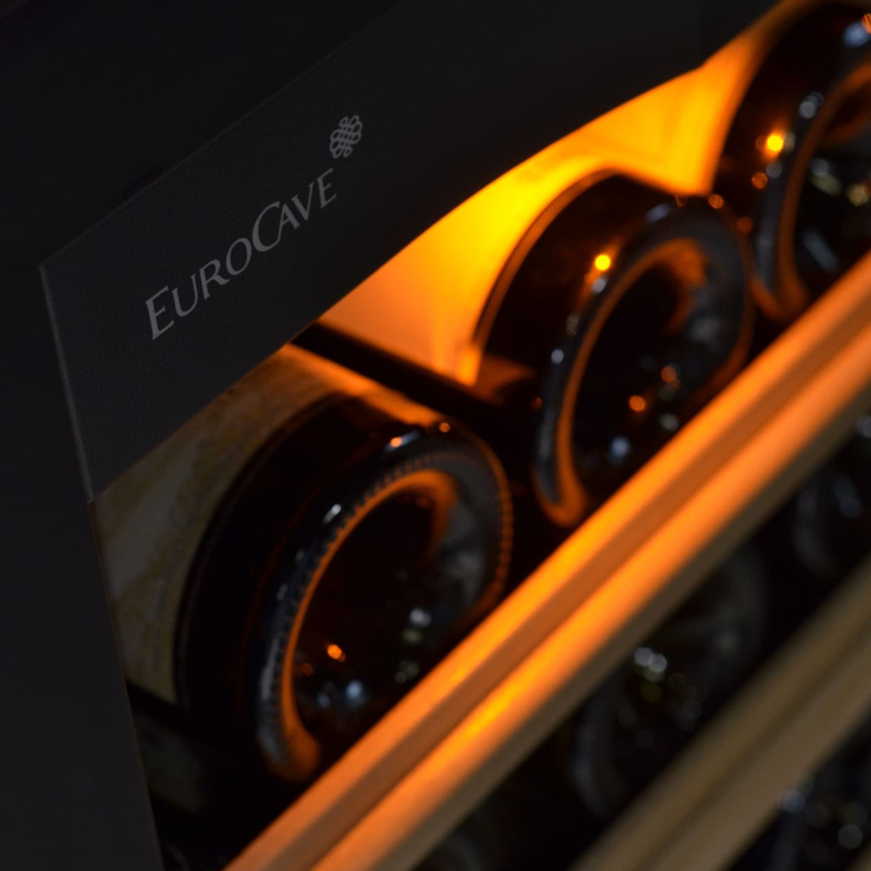 Large wine maturing cabinet, 1 temperature - Pure | EuroCave